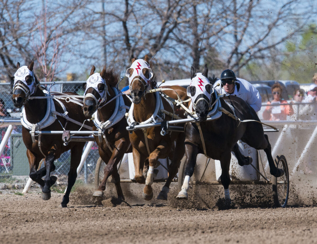 Chariot racing world championship coming to Ogden | News, Sports, Jobs ...